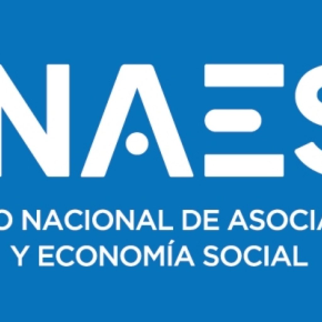 EL INAES HABILITA LA SEGUNDA ETAPA DEL INFORME SOCIO-ECONÓMICO PARA ...